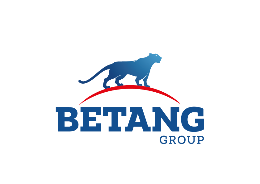 Home [www.betanggroup.us]